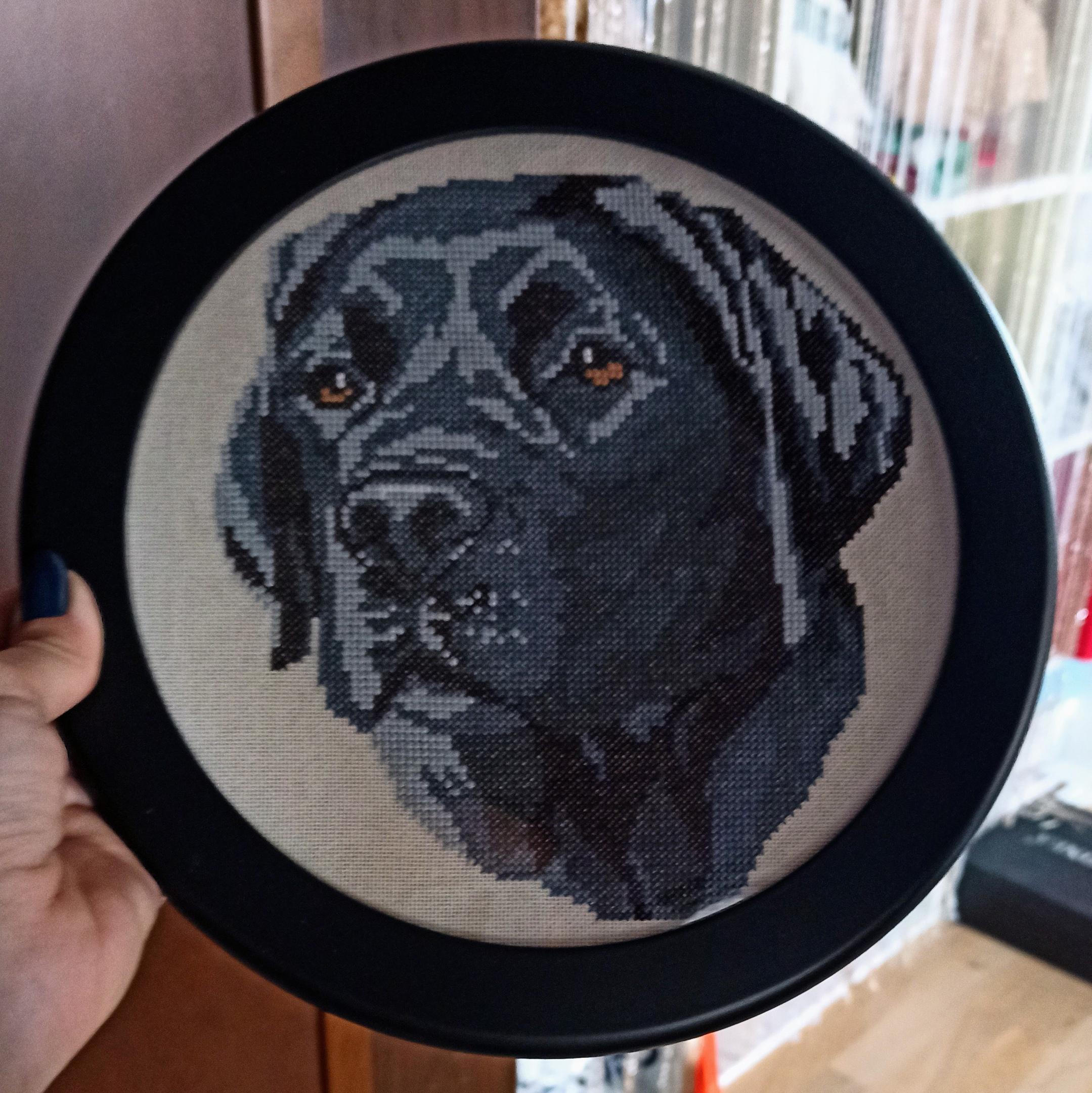 Black Labrador Dog Counted Cross Stitch Pattern Pdf. Modern Pet ...