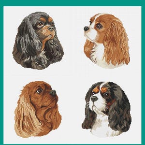 Blenheim Cavalier King Charles Spaniel Dog Counted Cross Stitch Pattern ...