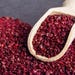 Organic Coriander – Whole Seeds & Ground Powder From Morocco | Natural ...