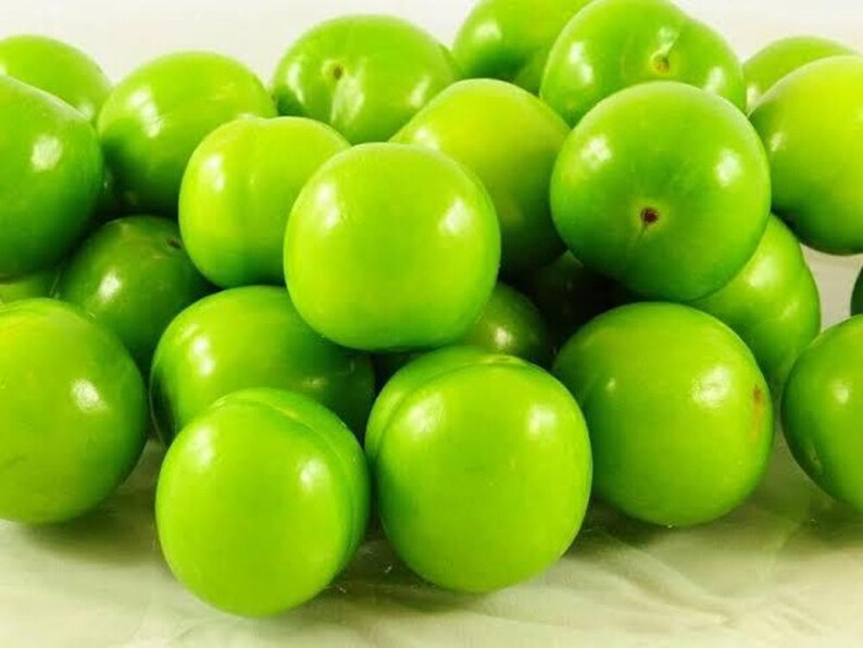 Fresh Crunchy Green Plums – Premium Turkish Sour Green Plum – Seasonal ...