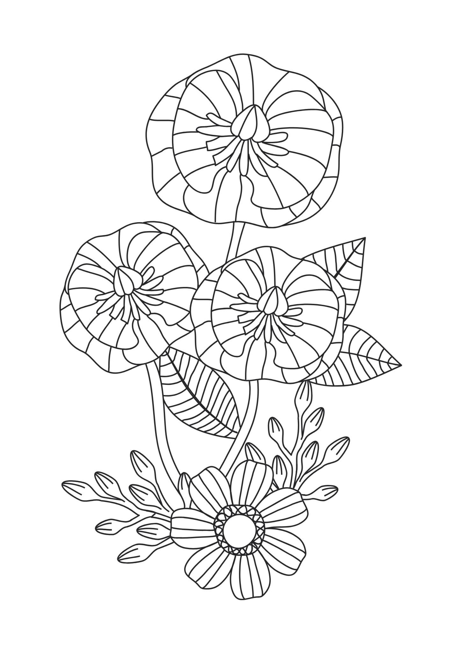 Flower Drawing Book | 10 Printable Floral Art Pages | Digital Download ...