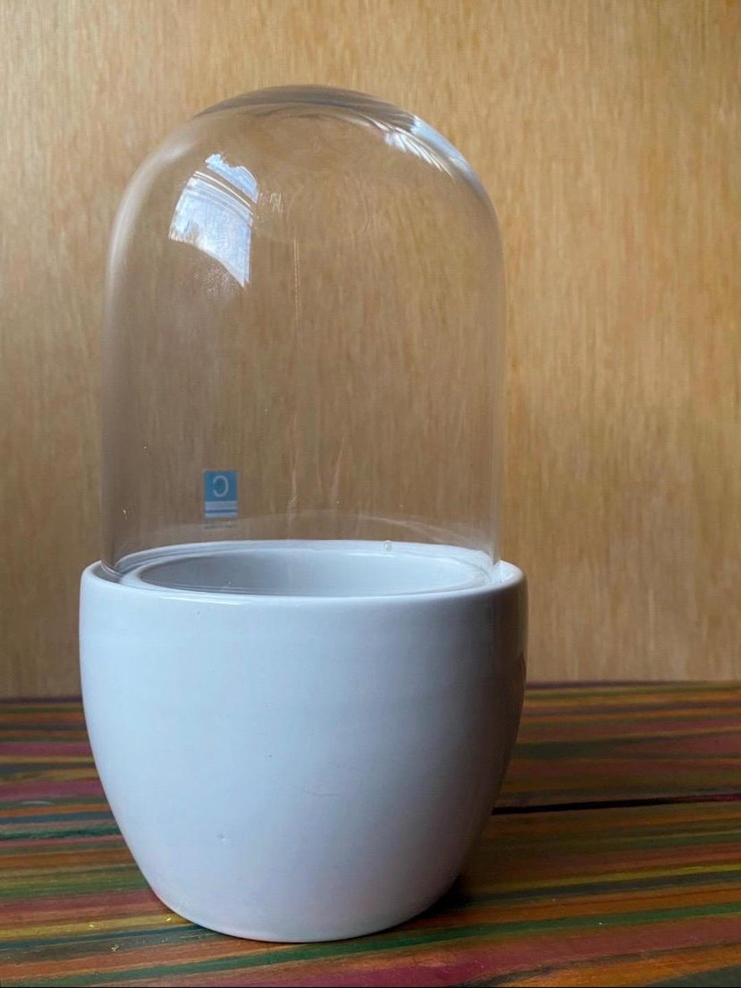 White Ceramic and Glass Terrarium, Microclimate With Hand-drilled ...
