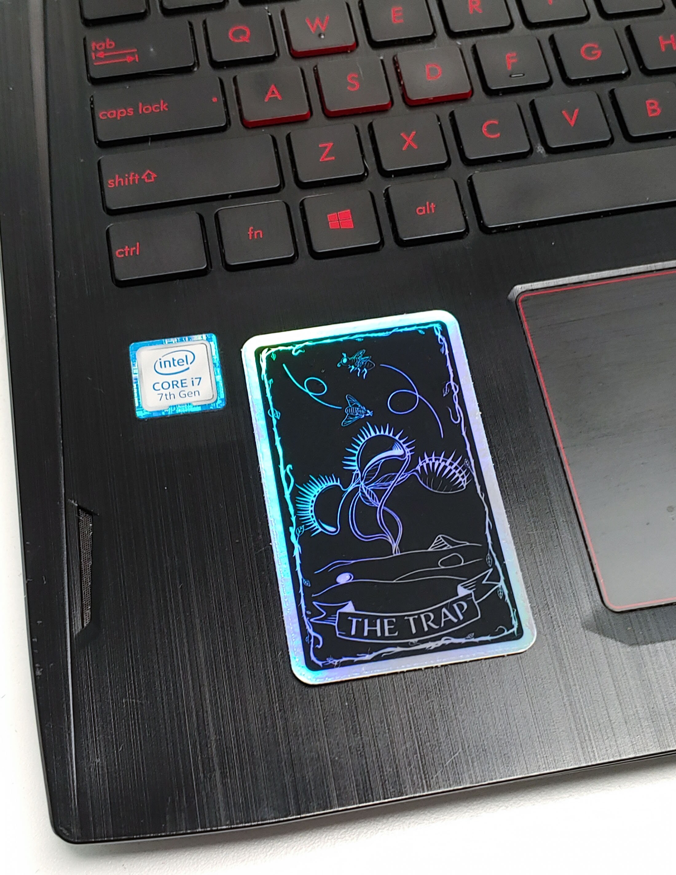 Holographic Fly Trap Tarot Card Sticker Vinyl Machine Die | Etsy
