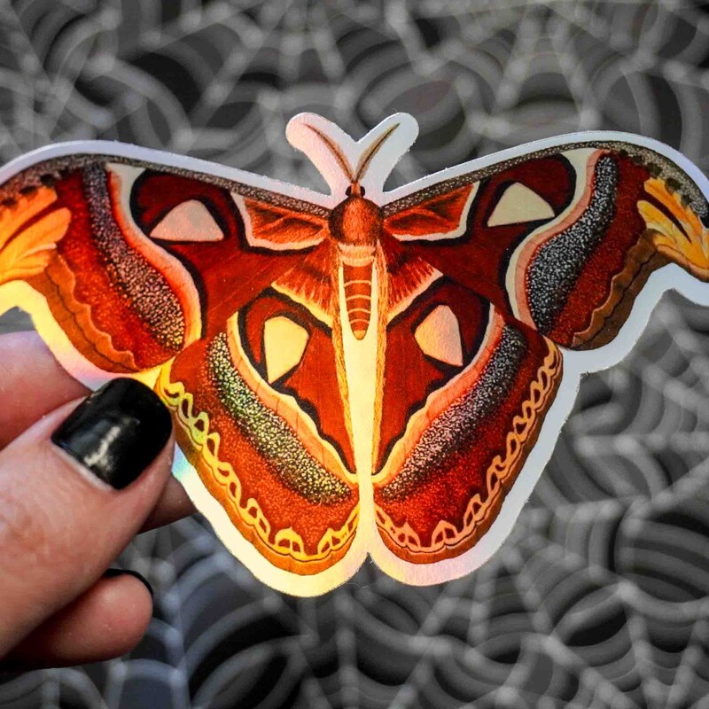 Moth Laptop Sticker - Etsy