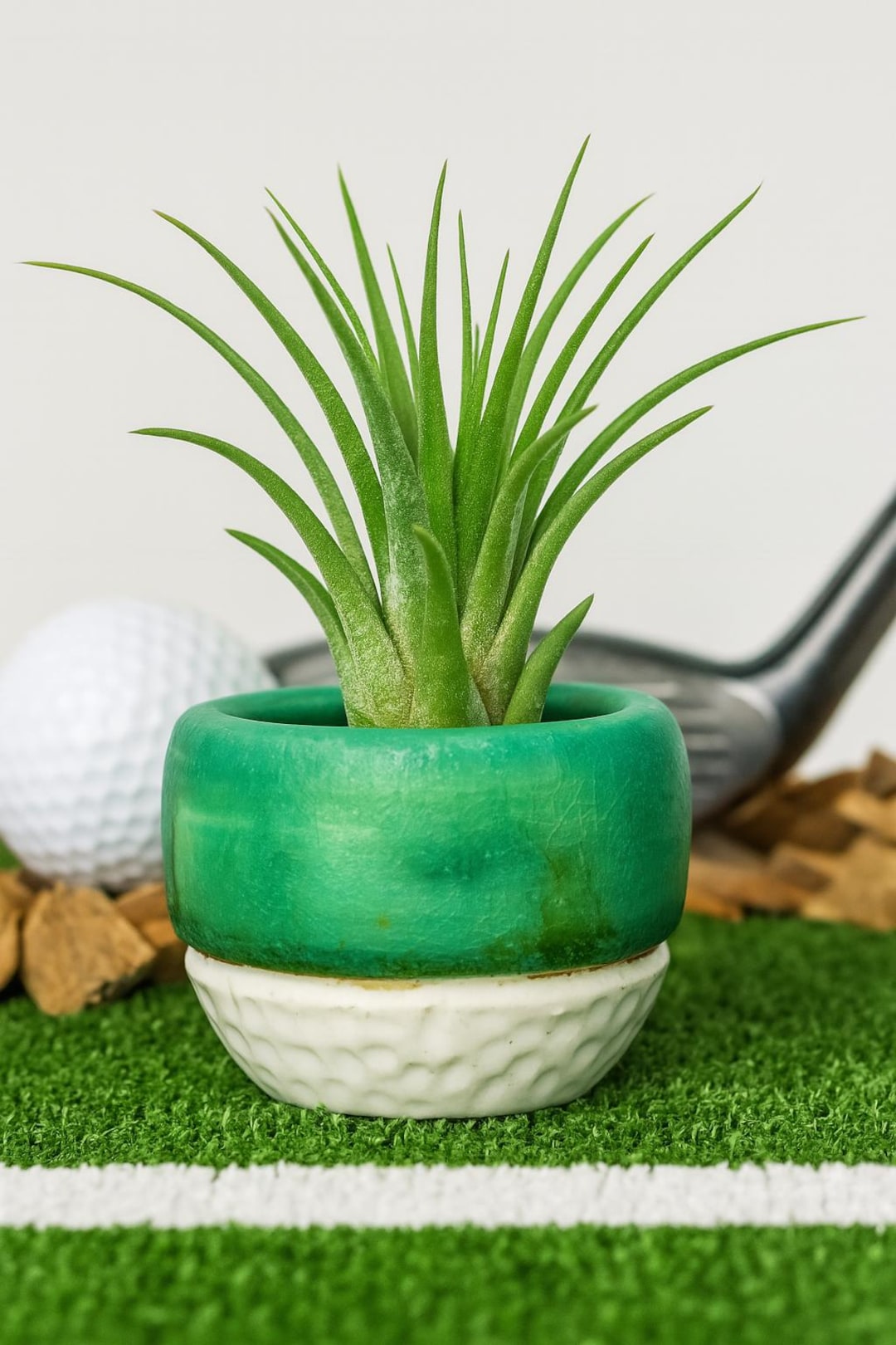Hole-in-one Planter – Golf Ball Themed Pot for Succulents (plant Not ...