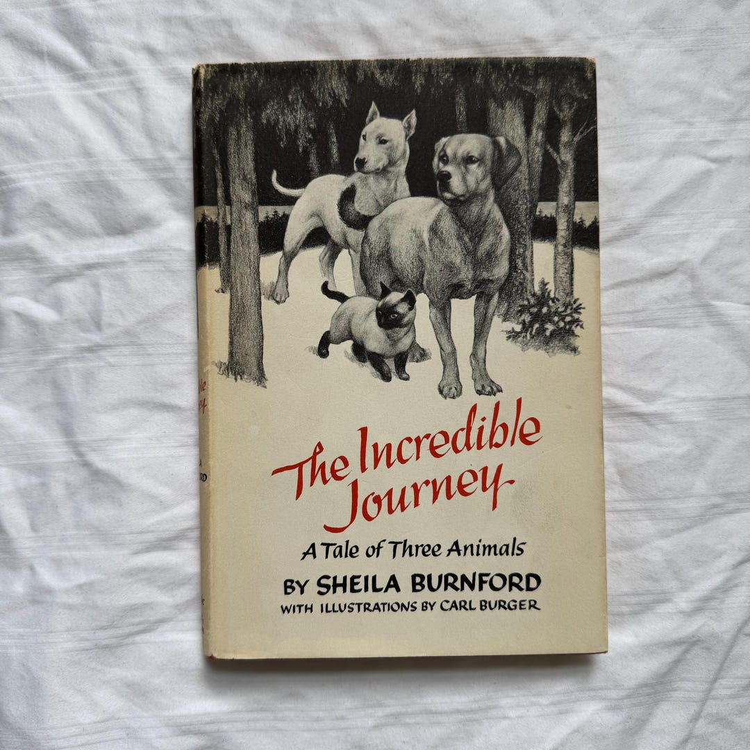 The Incredible Journey Sheila Burnford Vintage 1961 5th Printing ...