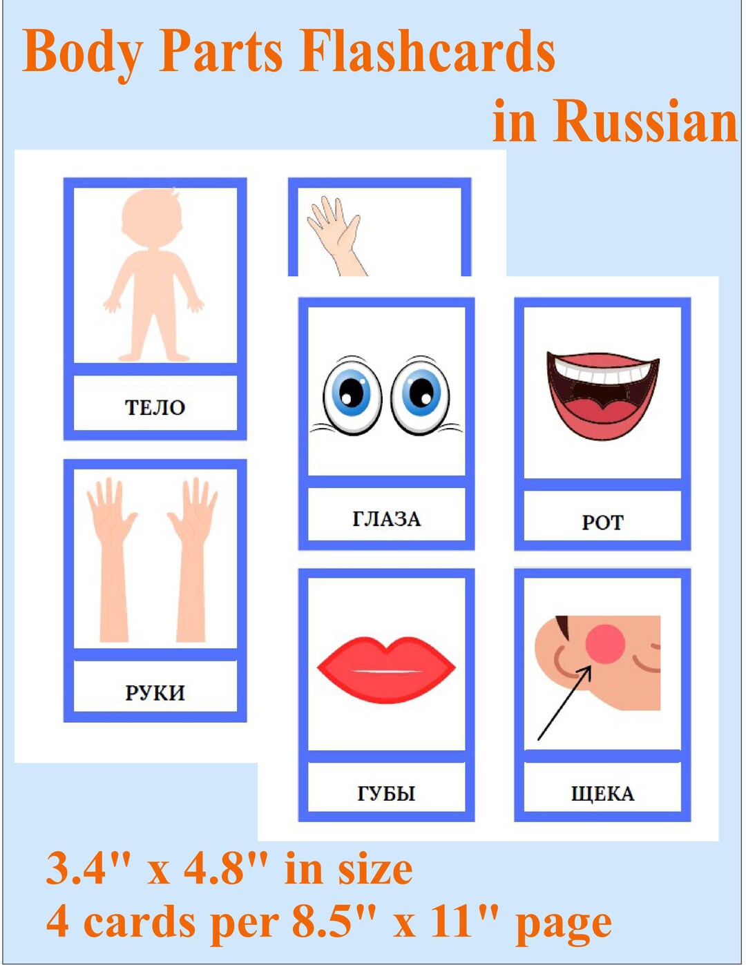 Russian Body Parts Flashcards for Kids | Printable Learning Cards ...