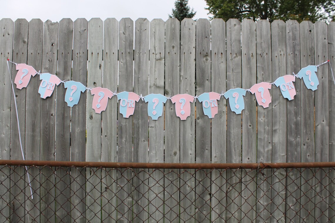 Gender Reveal Banner | Etsy