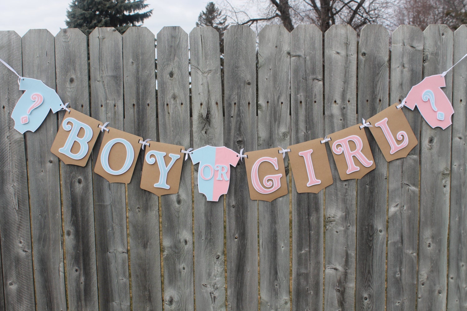 Gender reveal Banner | Etsy