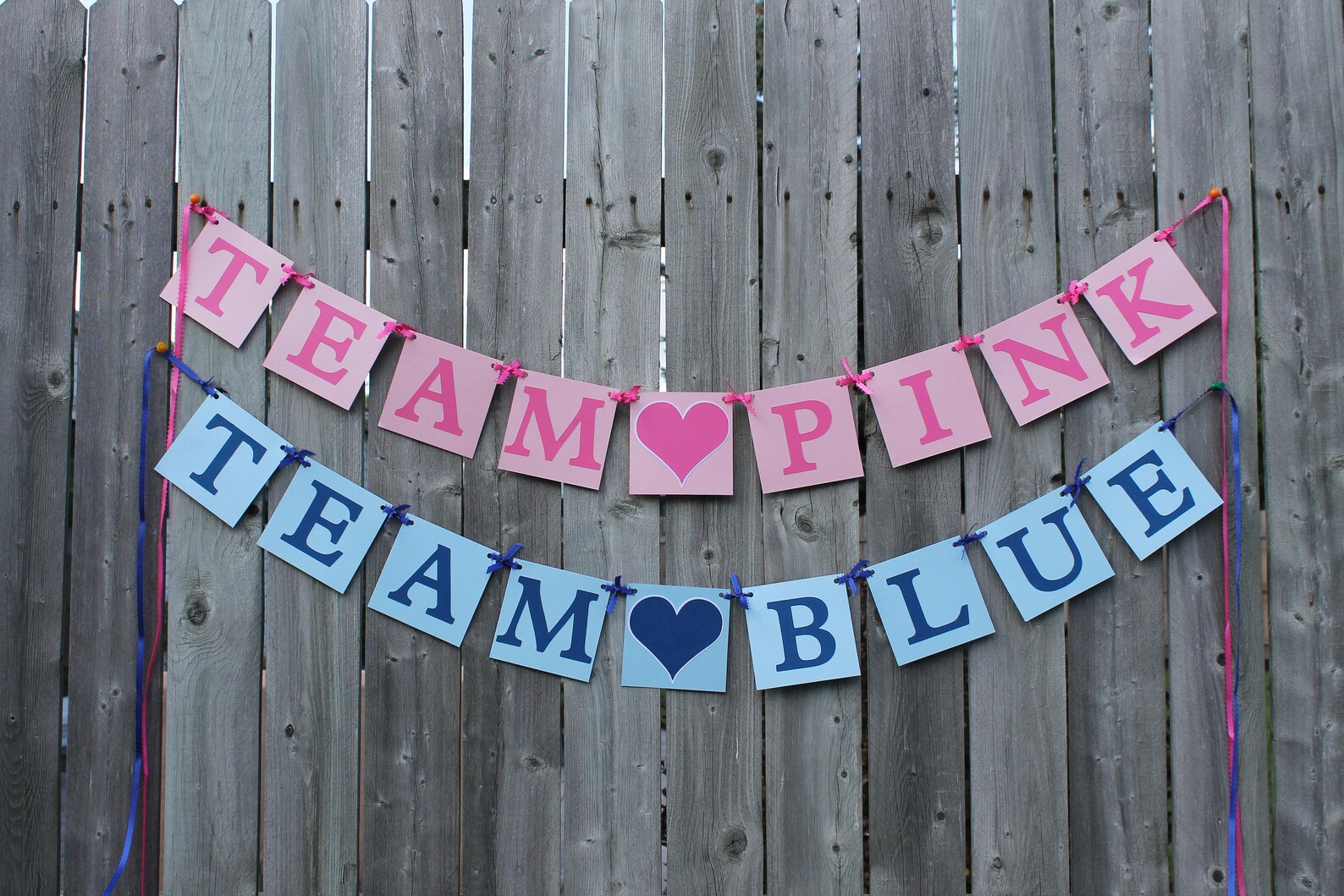 Team pink/ blue photo prop banners | Etsy