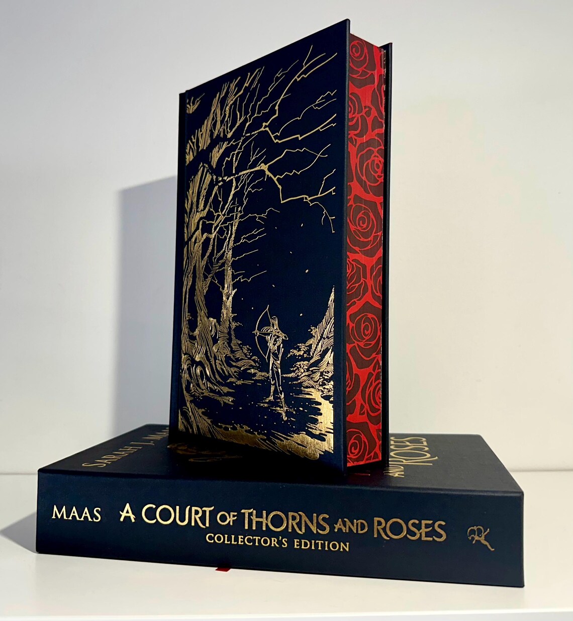 HARDCOVER ACOTAR Collectors Edition - Stencilled Sprayed Edges - Etsy