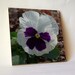 Pansy Ceramic Tile, Floral Trivet, White Flower Photograph, Gardener ...