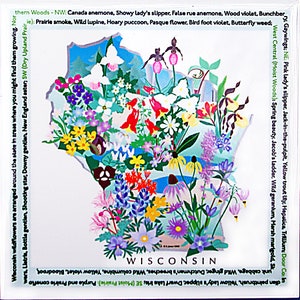 Wisconsin Wildflowers Ceramic Tile, Trivet, Wall Art - Etsy