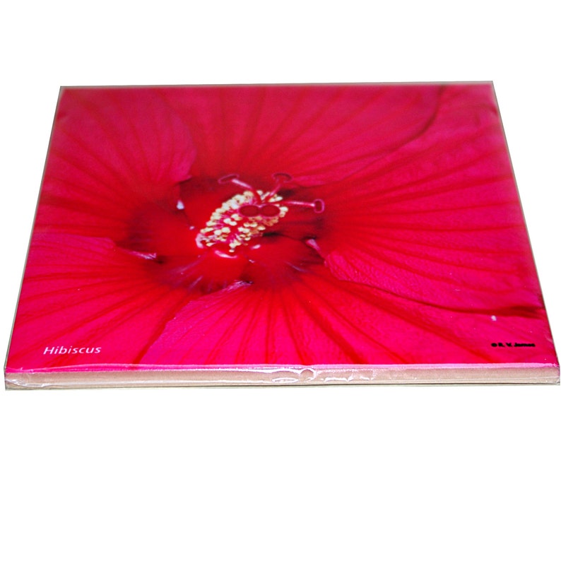 Red Hibiscus Flower Ceramic Tile, Floral Trivet, in Stock, on Sale ...