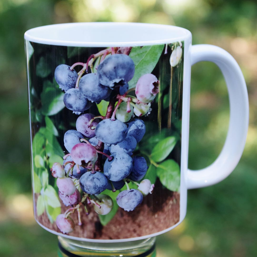 Blueberries, Nature Inspired Ceramic Mug, 11 or 15 Oz | Food Art ...