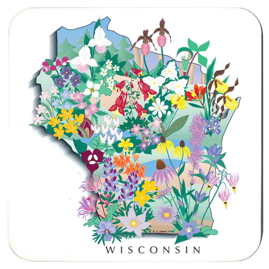 Wisconsin Wildflowers Coasters, Nature Lover Gift - Etsy