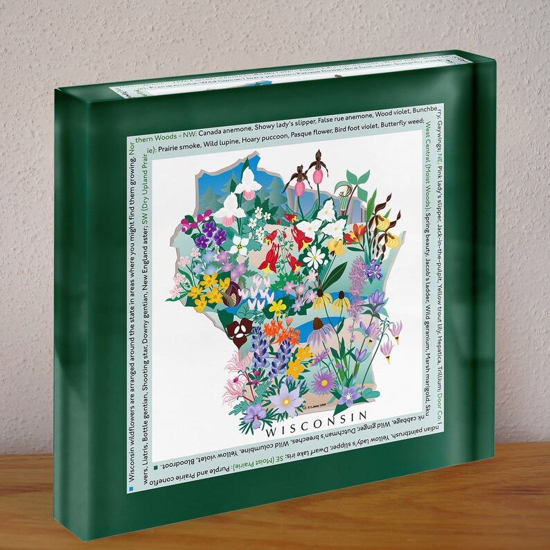 Wisconsin Wildflowers Ceramic Tile, Trivet, Wall Art - Etsy