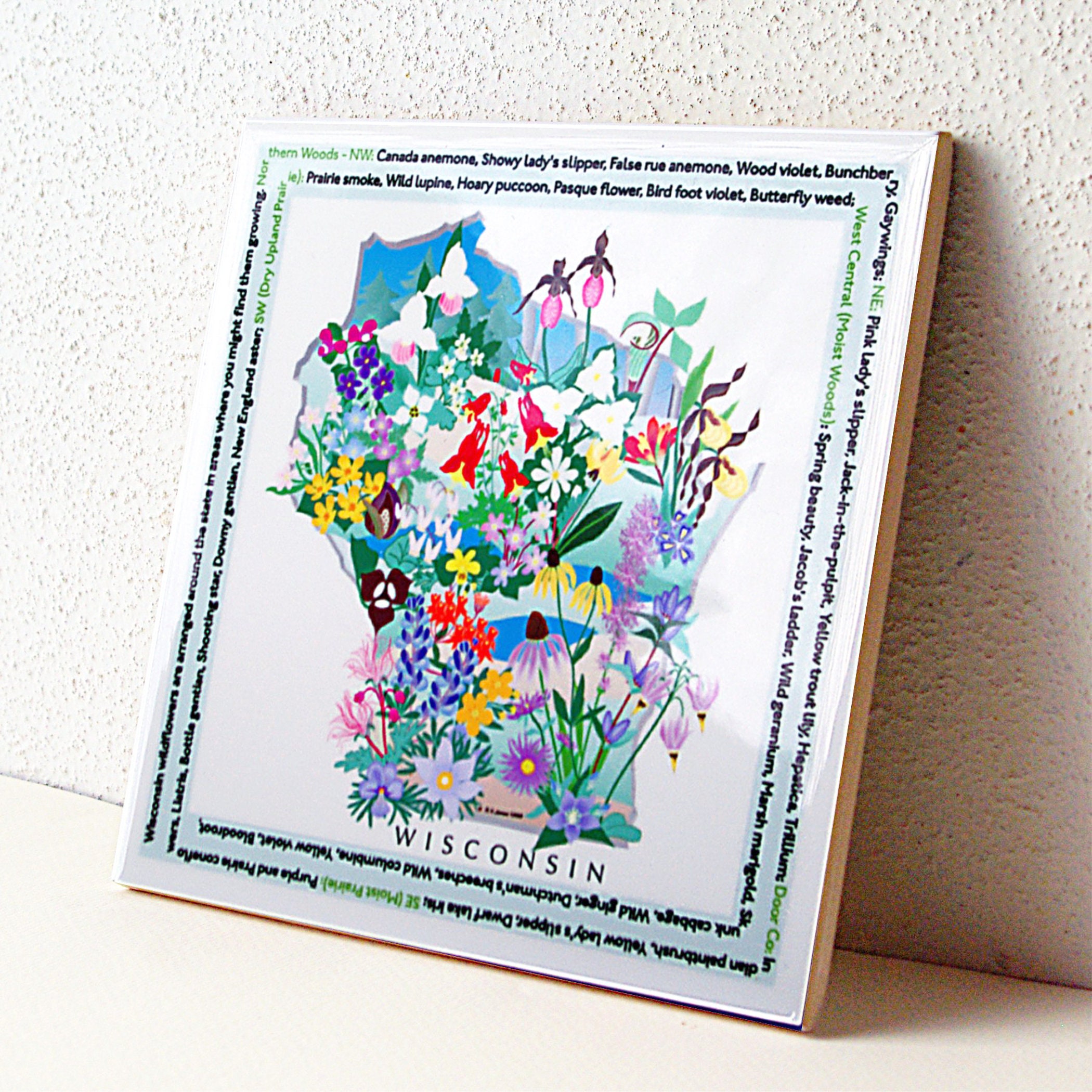 Wisconsin Wildflowers Coasters, Nature Lover Gift - Etsy