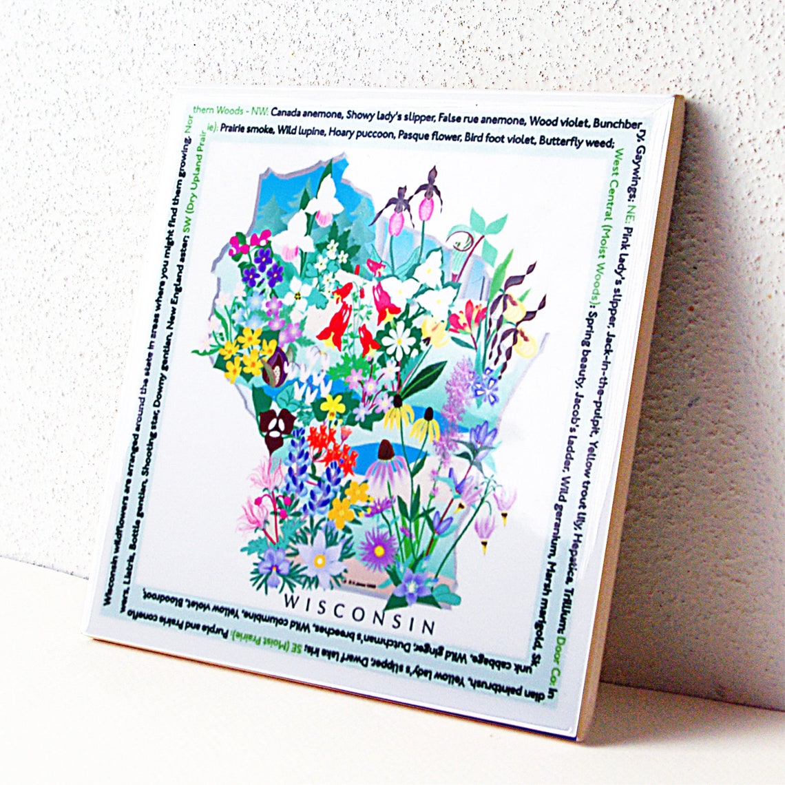 Wisconsin Wildflowers Ceramic Tile, Trivet, Wall Art - Etsy