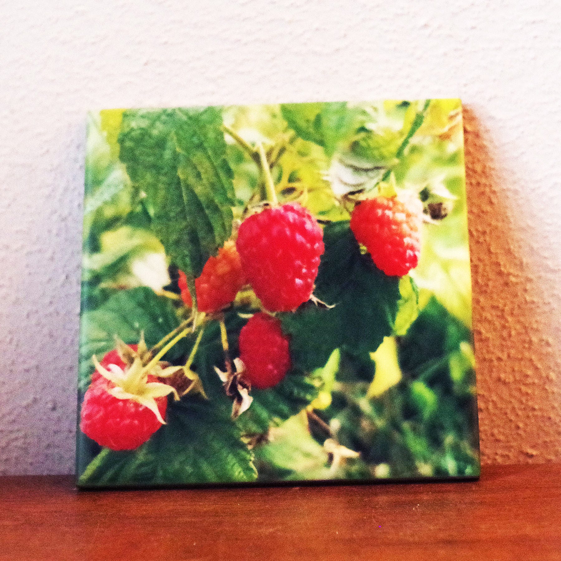 Raspberries Decorative Ceramic Tile Trivet Coaster Kitchen | Etsy