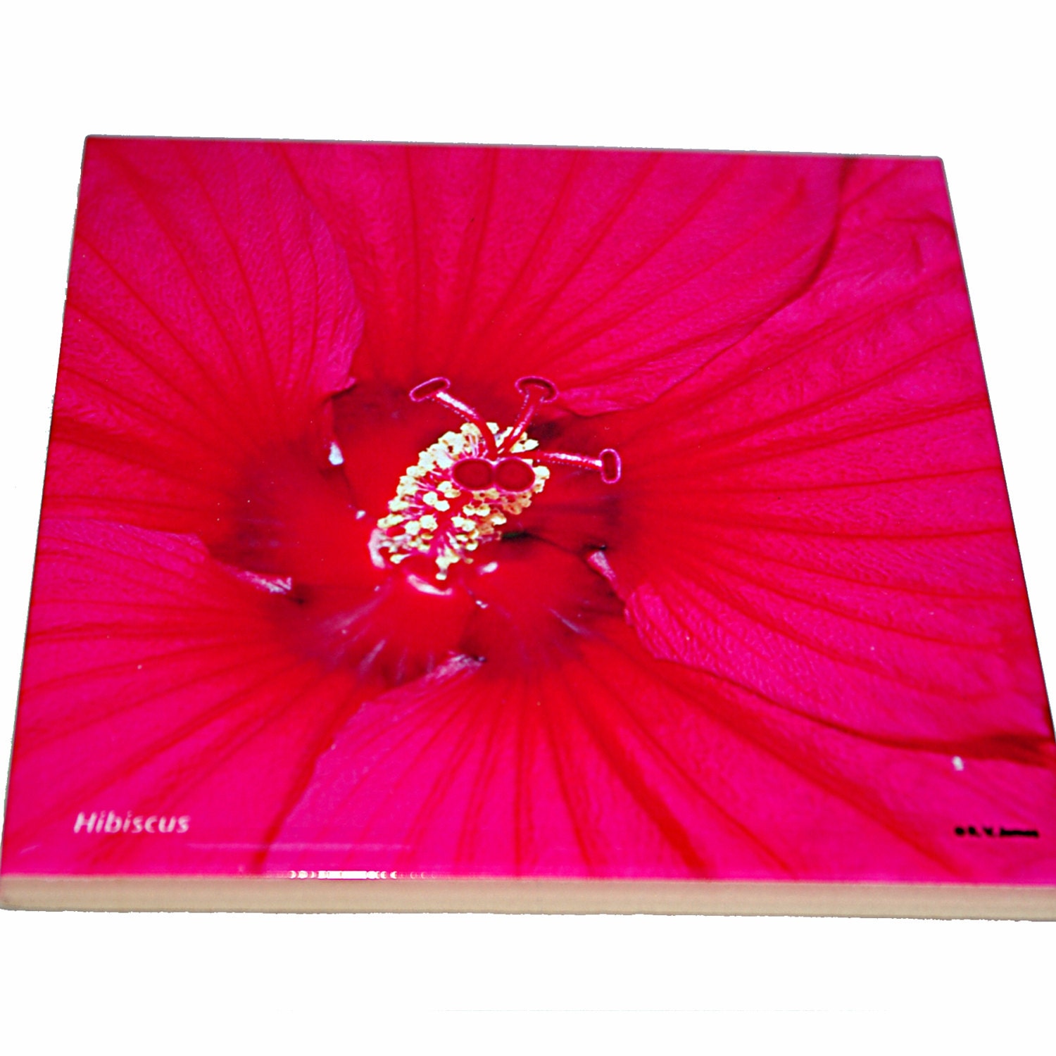 Red Hibiscus Flower Ceramic Tile, Floral Trivet, in Stock, on Sale ...