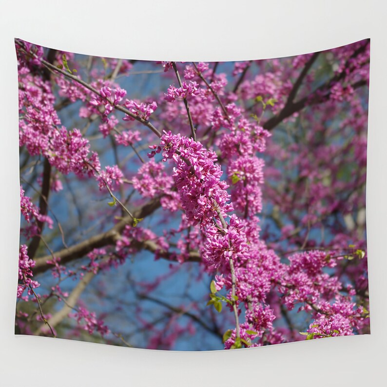 Redbud All Over Print Shirt, Floral T Shirt, Gift for Gardener, Cercis ...