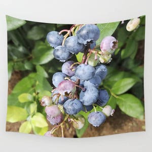 Blueberries, Nature Inspired Ceramic Mug, 11 or 15 Oz | Food Art ...
