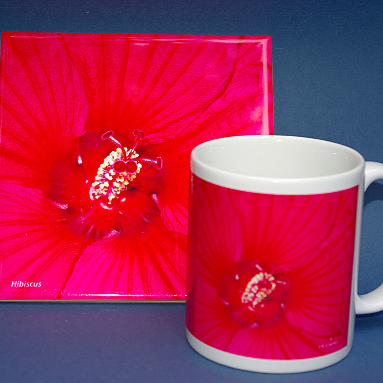 Red Hibiscus Flower Ceramic Tile, Floral Trivet, in Stock, on Sale ...