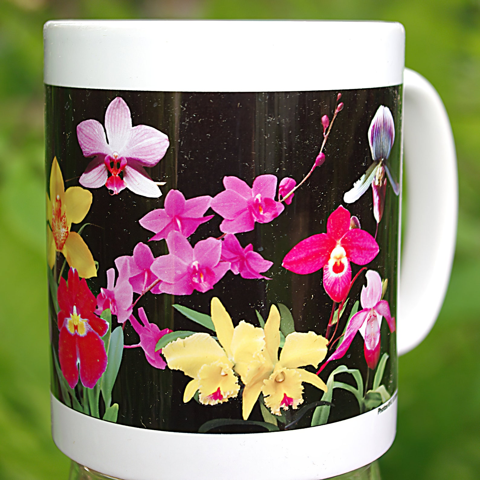 Orchids Galore Mug, 11 or 15 Oz, Coffee Mug for Orchid Lover ...
