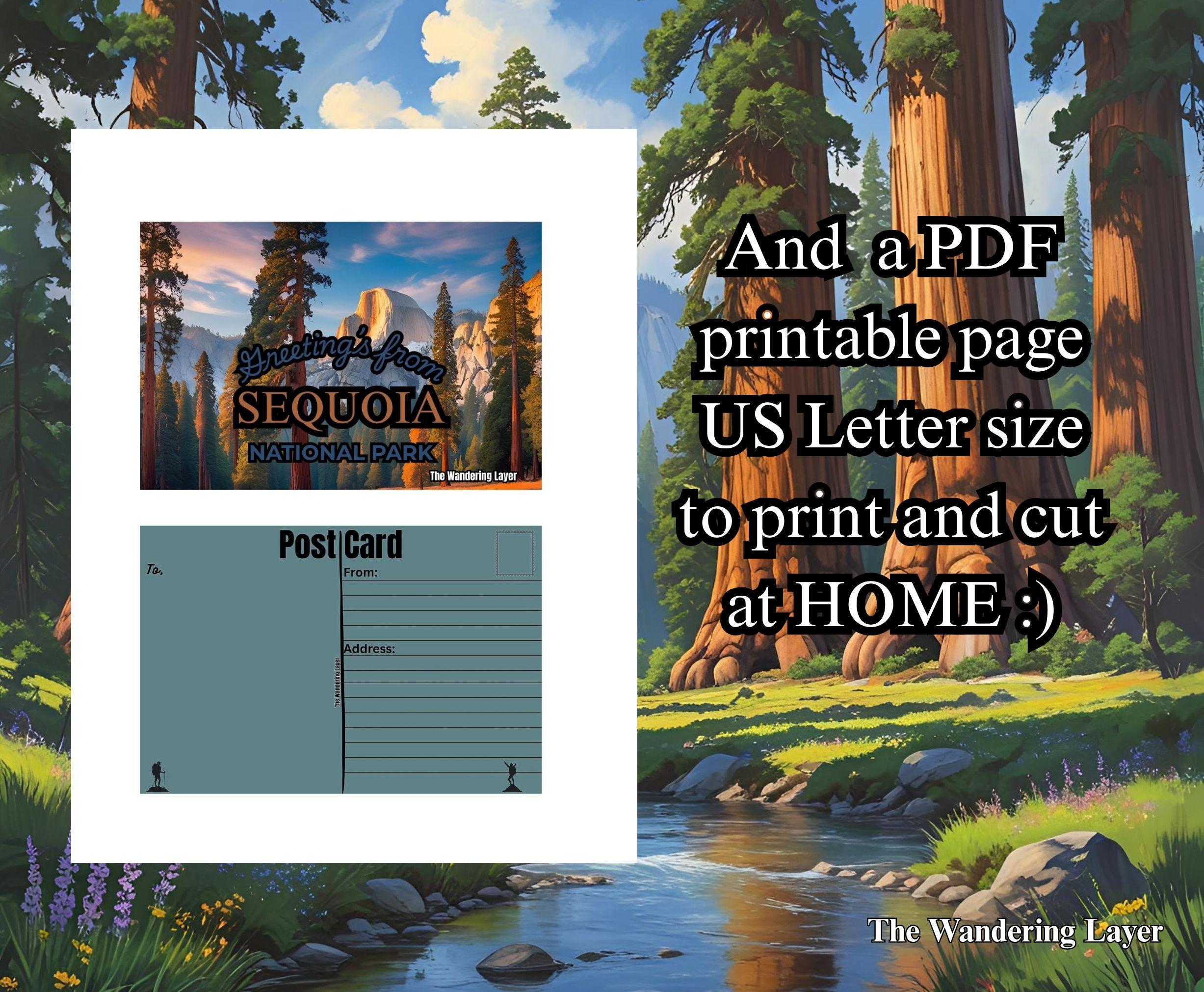 Sequoia National Park-digital Download-printable Wall Art-the Wandering ...