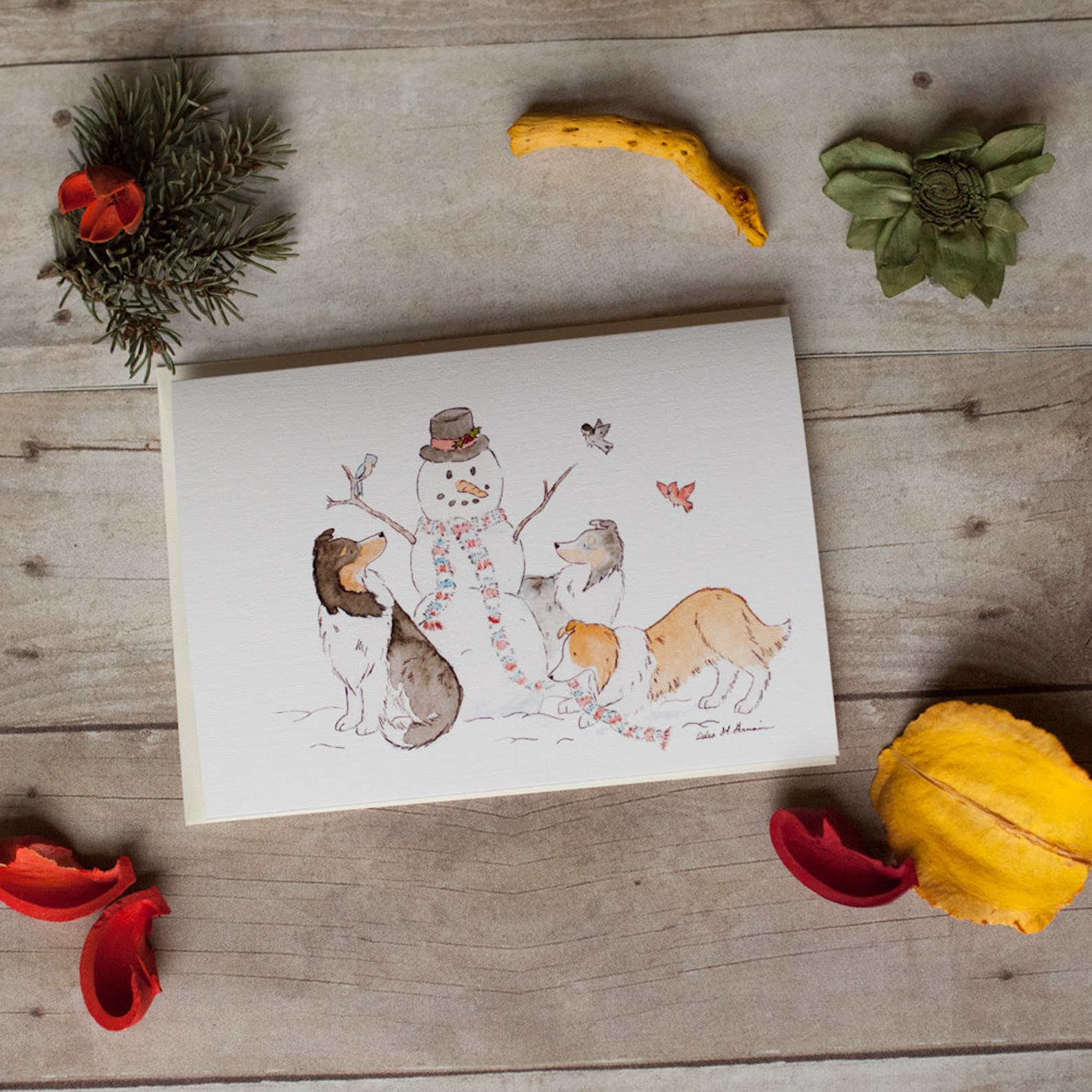 Sheltie Christmas Card, Shelties With Snowman, Shetland Sheepdog ...