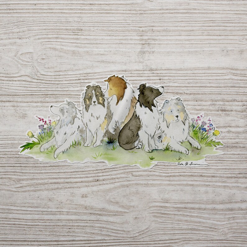 Shetland Sheepdog Sticker Sheltie Sticker Shetland Sheepdog - Etsy