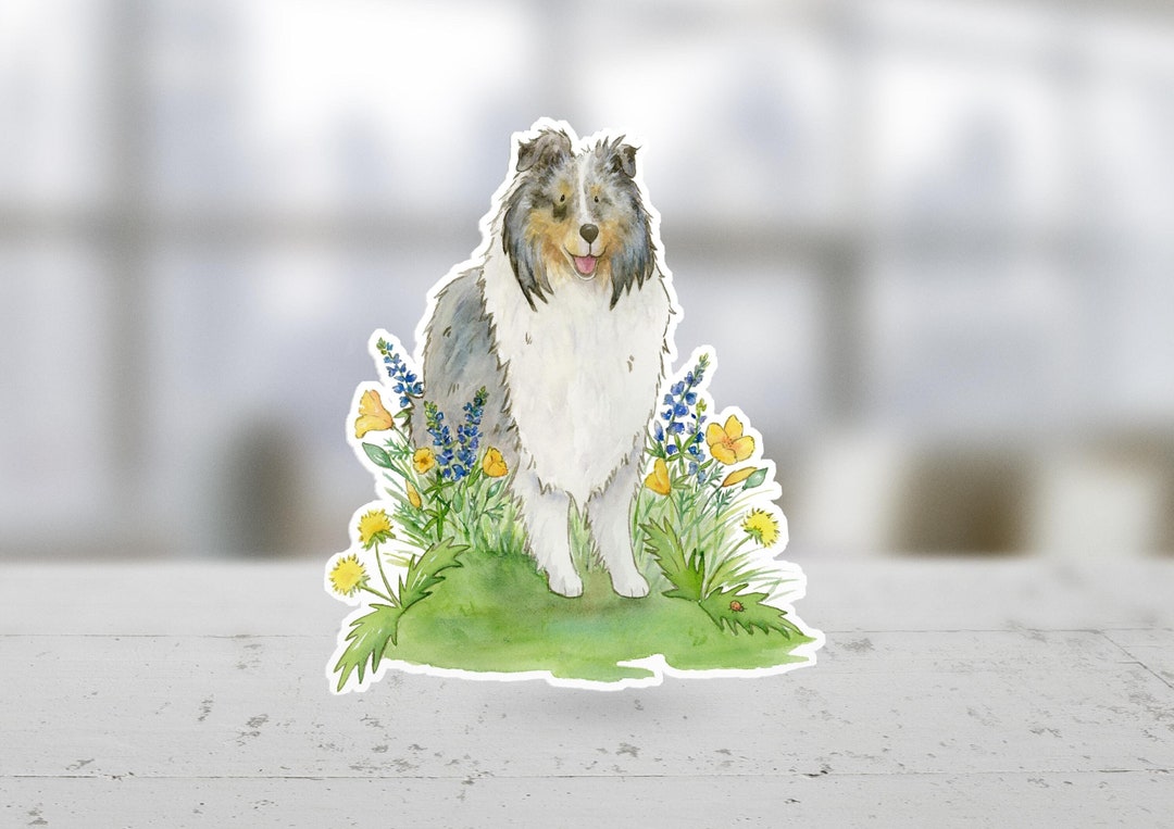 Sheltie Sticker, Shetland Sheepdog Sticker, Blue Merle Sheltie, Sheltie ...