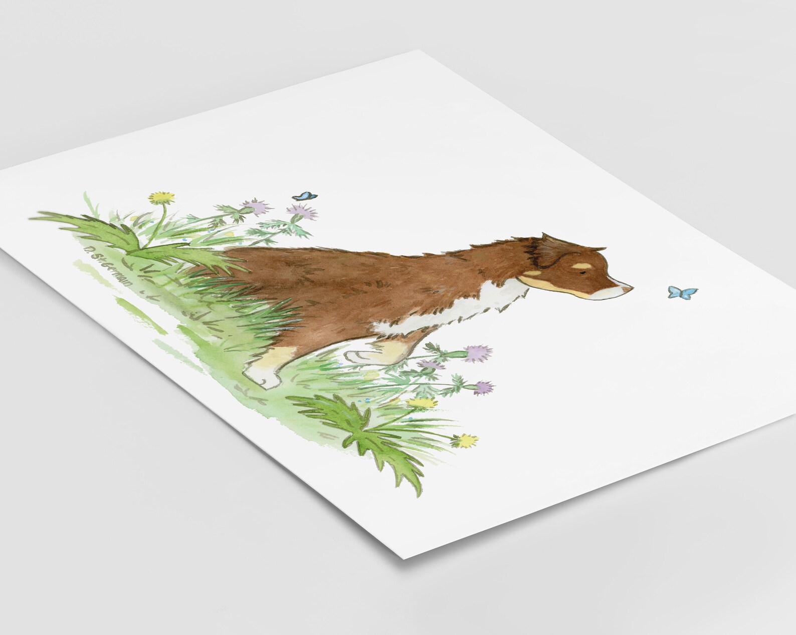 Australian Shepherd Art, Red Tri Aussie Print, Aussie Gift, Dog Lover ...