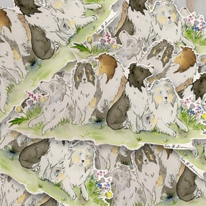 Shetland Sheepdog Sticker, Sheltie Sticker, Shetland Sheepdog Car Decal ...