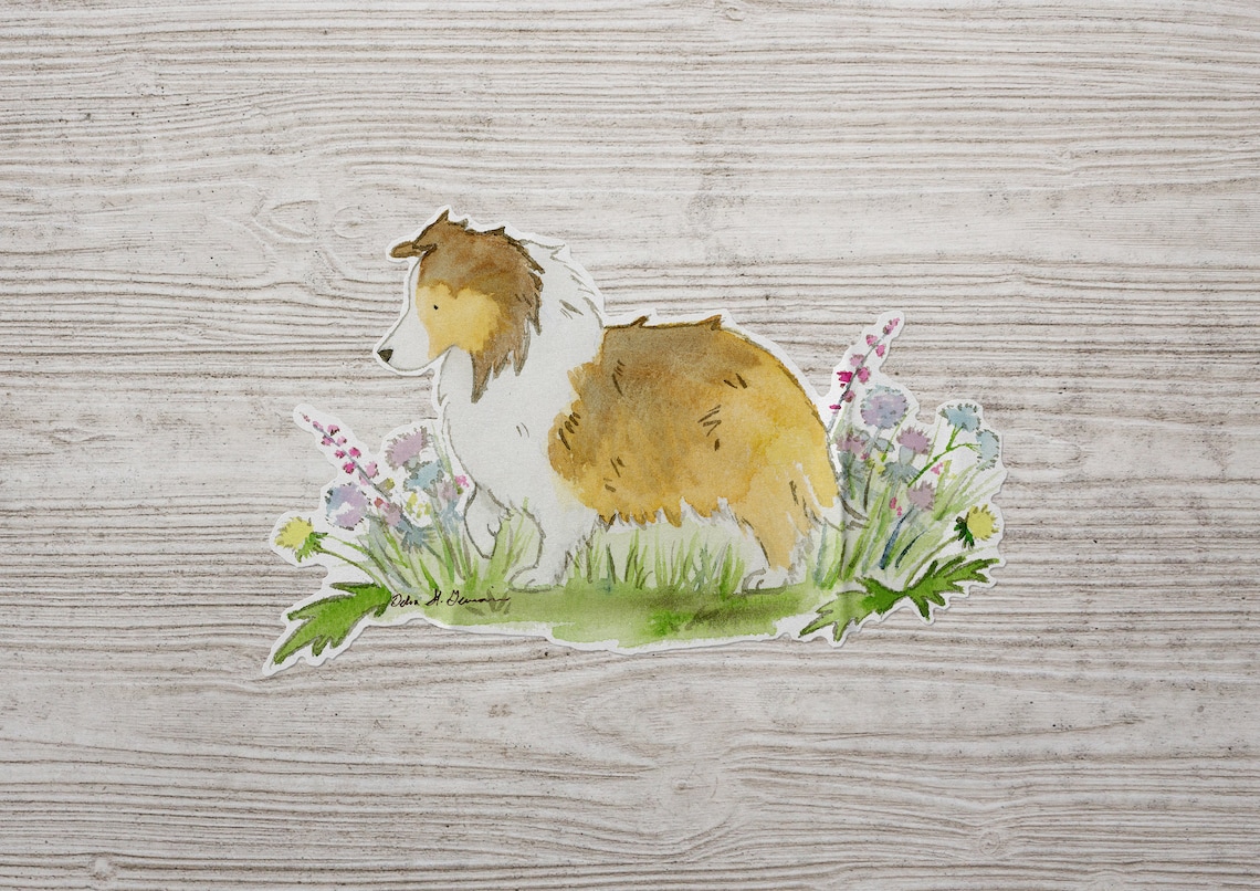 Shetland Sheepdog Sticker, Sable Sheltie Sticker, Die-cut Decal, Vinyl ...