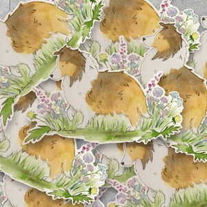 Shetland Sheepdog Sticker, Sable Sheltie Sticker, Die-cut Decal, Vinyl ...