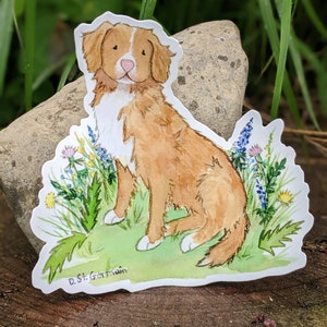 Nova Scotia Duck Tolling Retriever Vinyl Sticker, Car Decal, Toller ...
