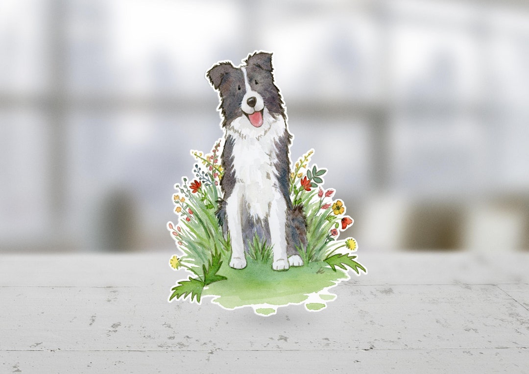 Border Collie Sticker, Border Collie Car Decal, Border Collie Gift ...