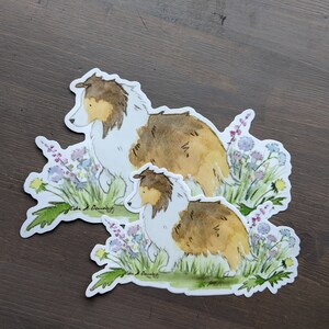 Shetland Sheepdog Sticker, Sable Sheltie Sticker, Die-cut Decal, Vinyl ...