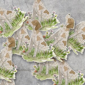 Pointer Vinyl Sticker, German Shorthaired Pointer Car Decal, Die-cut ...