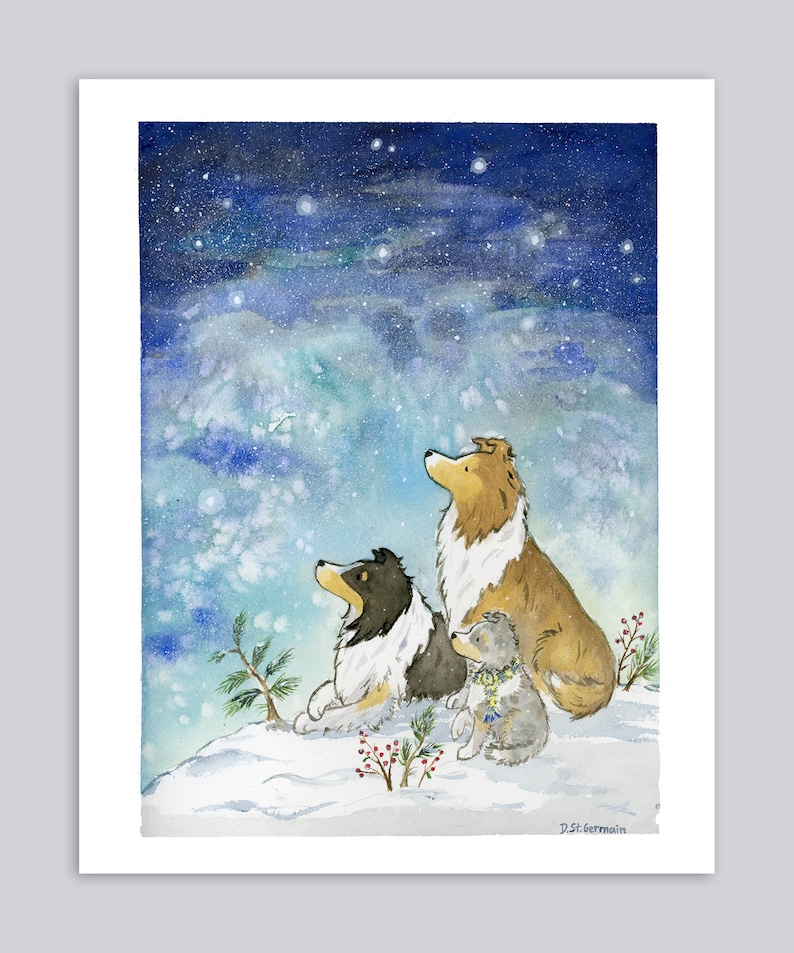 Sheltie Christmas Card Shetland Sheepdog Holiday Card 5 x 7 | Etsy