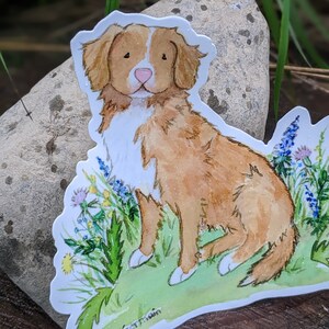 Nova Scotia Duck Tolling Retriever Vinyl Sticker, Car Decal, Toller ...