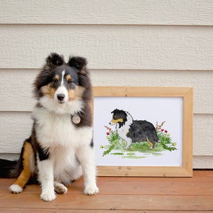Sheltie Art, Sheltie Print, Tri Color Sheltie, Dog Nursery Art ...