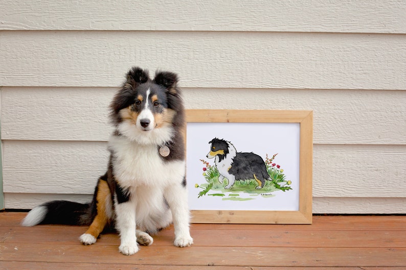 Sheltie Art, Sheltie Print, Tri Color Sheltie, Dog Nursery Art ...