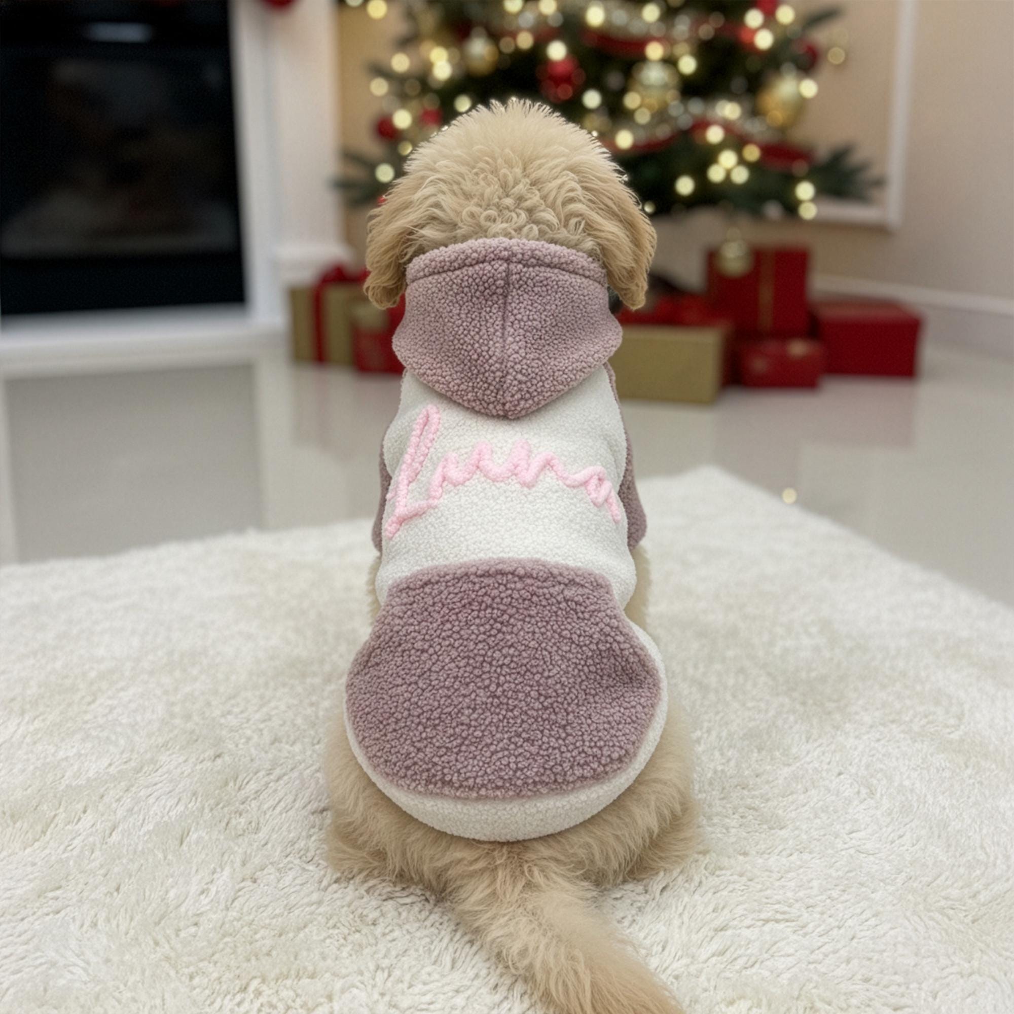 Custom Pet Hoodie With Chenille Name on Corduroy — Cozy Personalized ...