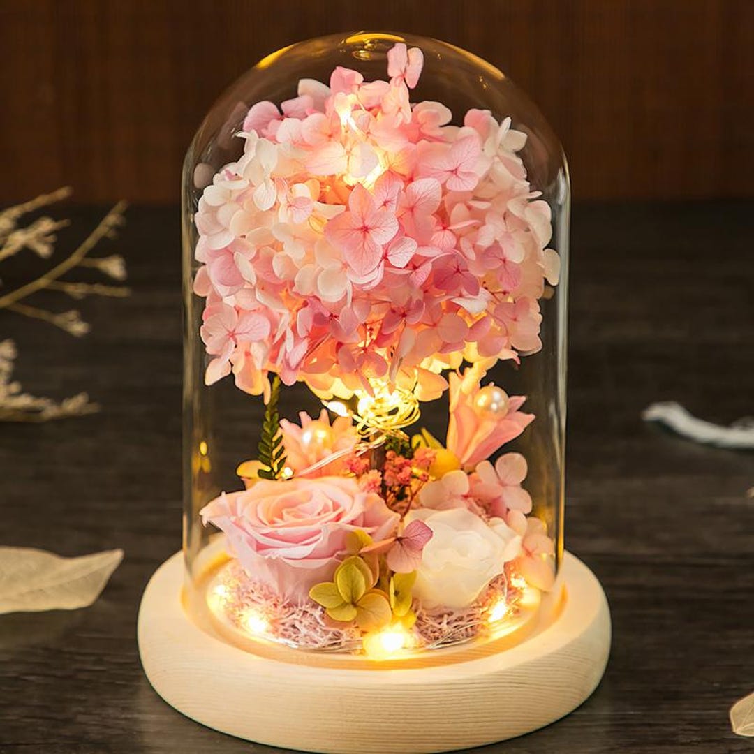 Pink Preserved Flower Dome With LED Lights – 17cm X 12cm Glass Cloche ...