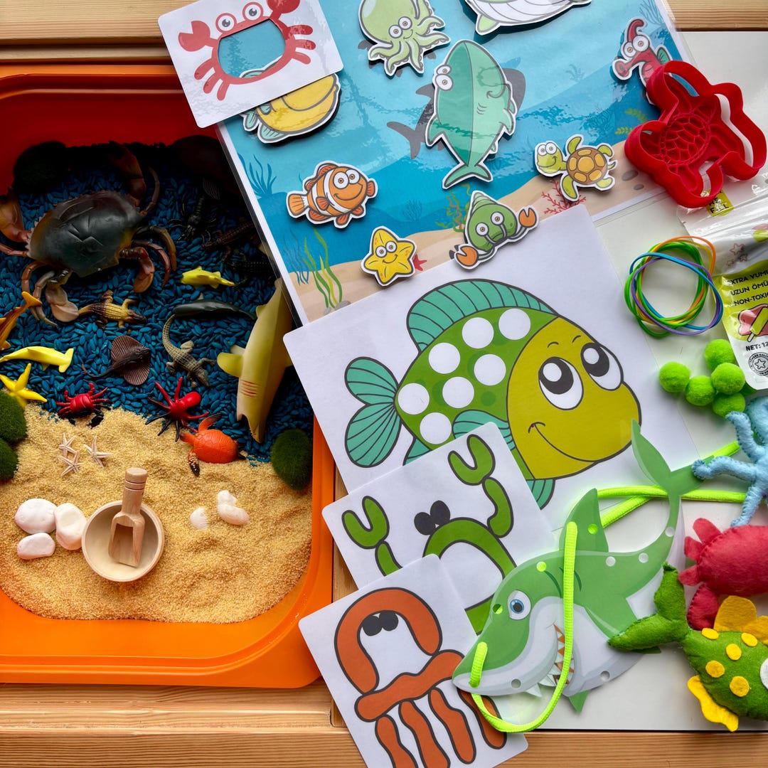 Ocean Sensory Play Kit,under the Sea Sensory Bin, Montessori Fine Motor ...