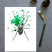 Squashed Spider Watercolour Art Print - Etsy
