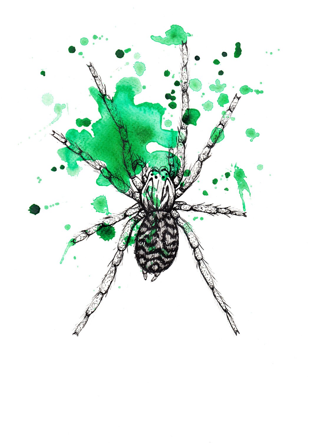 Squashed Spider Watercolour Art Print - Etsy